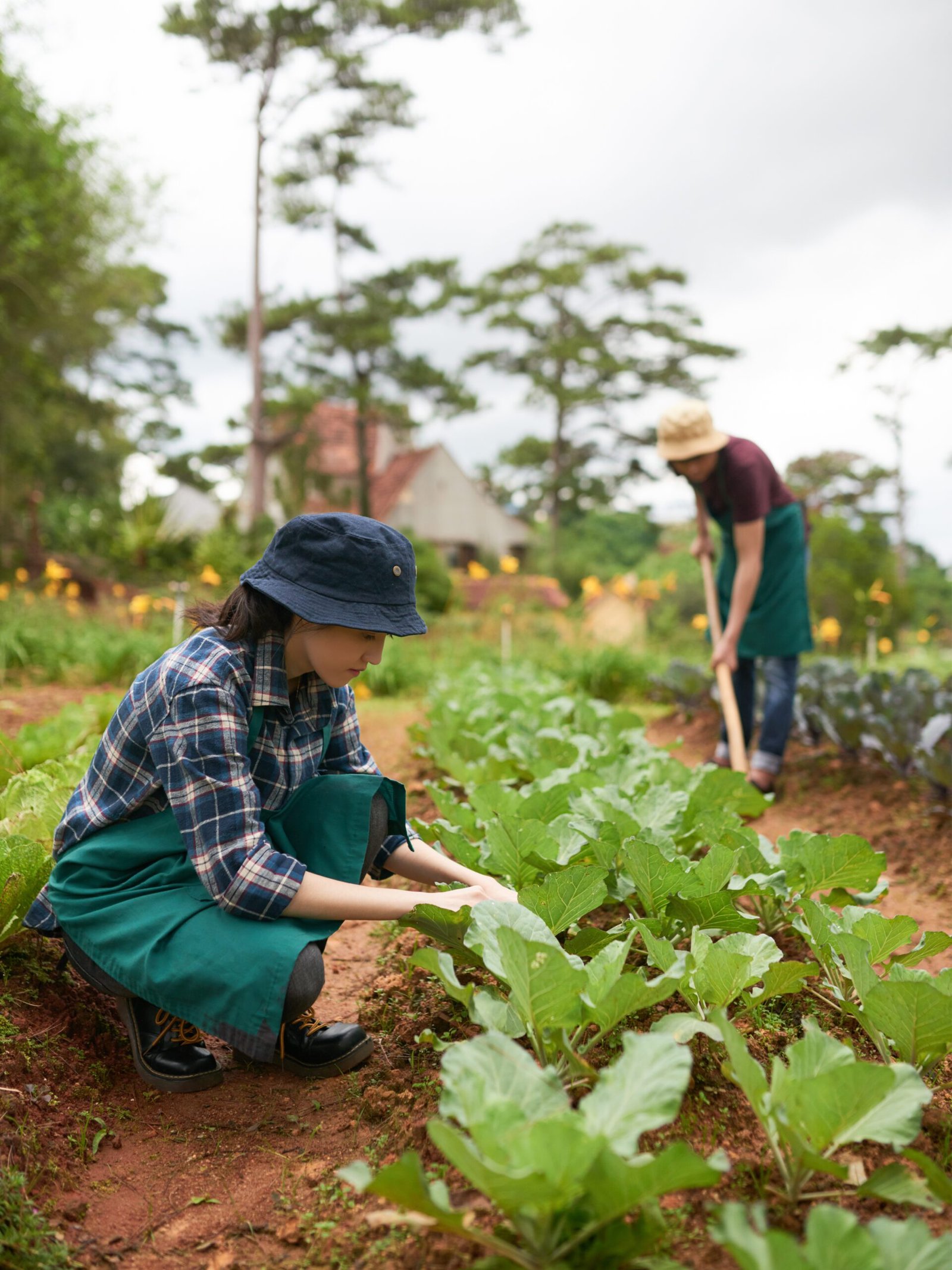 About Us – hiranyaseeds